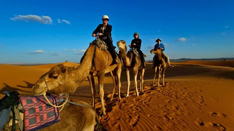 Morocco Weather in August: An Ultimate Guide for 2025 - 2026